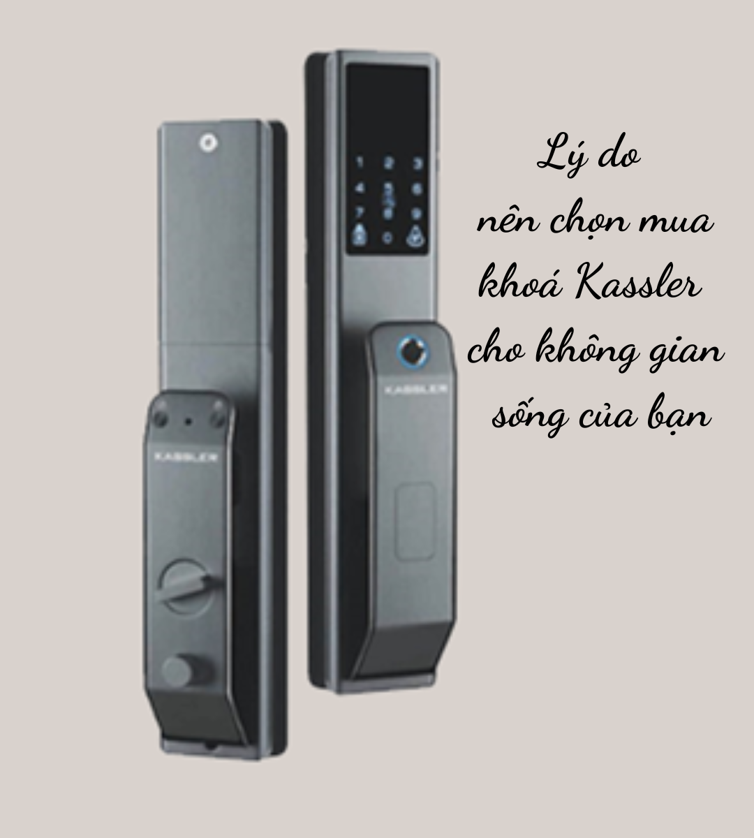 Lý do nên chọn mua khoá Kassler cho không gian sống của bạn